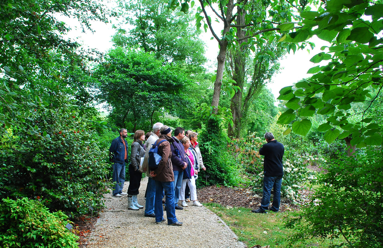 Arboretum provinciaal domein Het Leen - Nederlandse Dendrologische ...
