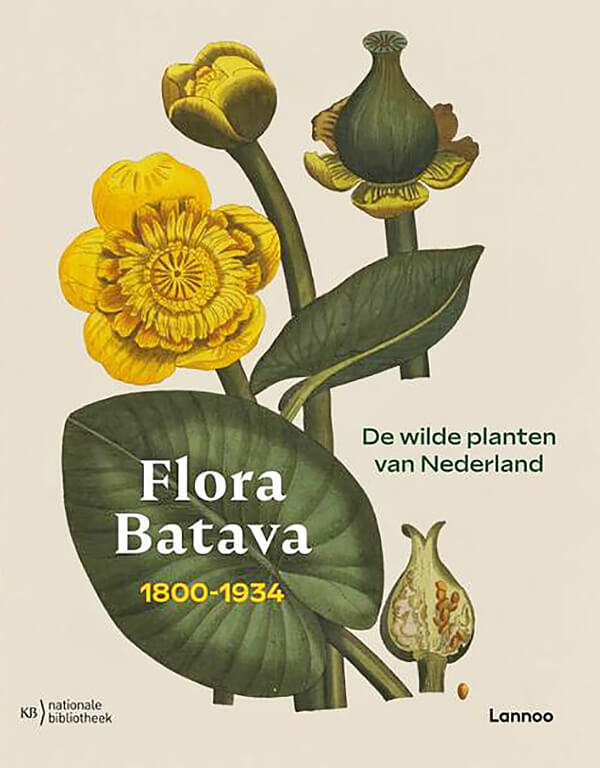 Flora Batava 1800 - 1934. De wilde planten van Nederland - Nederlandse ...