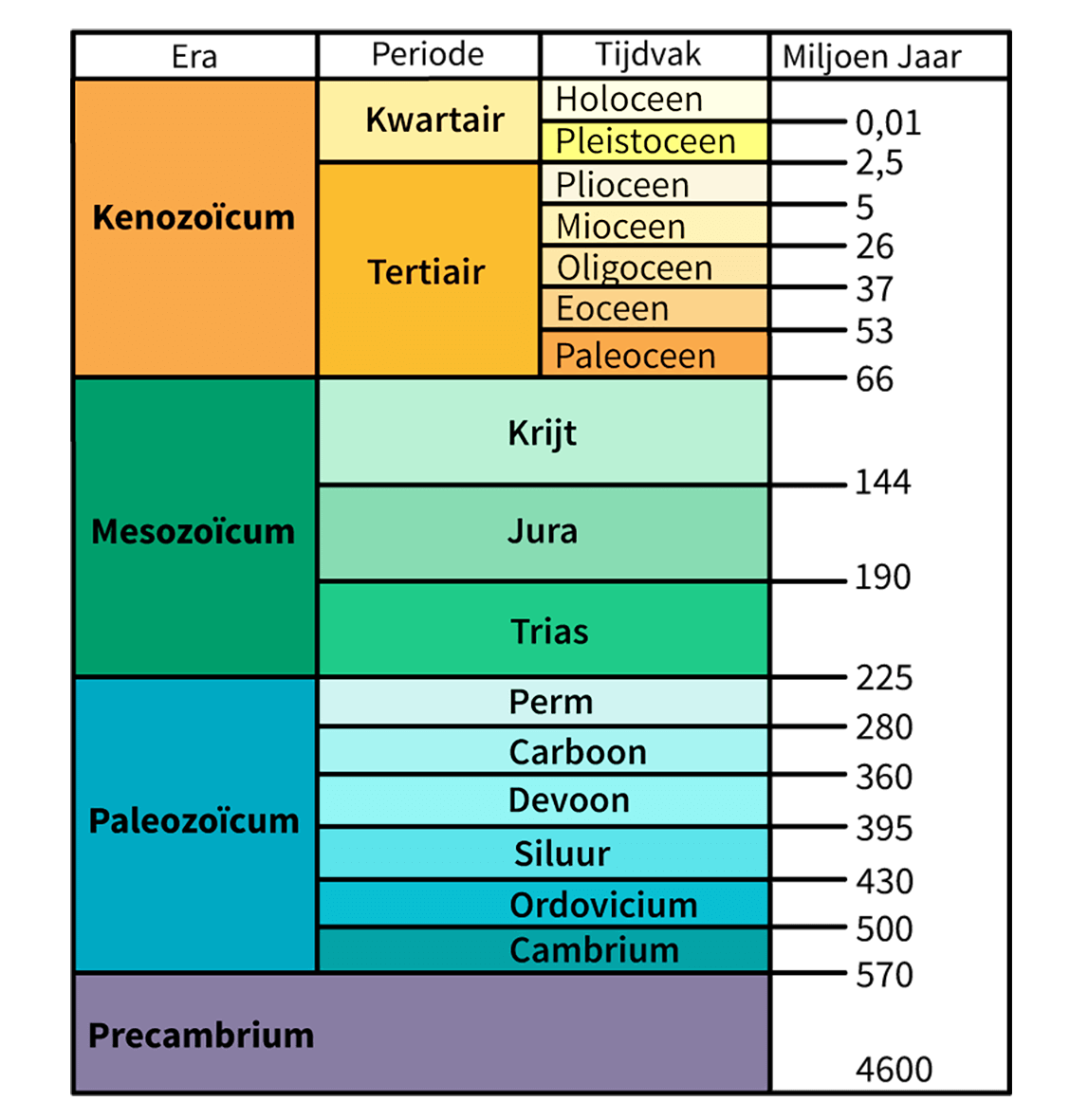 De evolutie van bomen - Nederlandse Dendrologische Vereniging