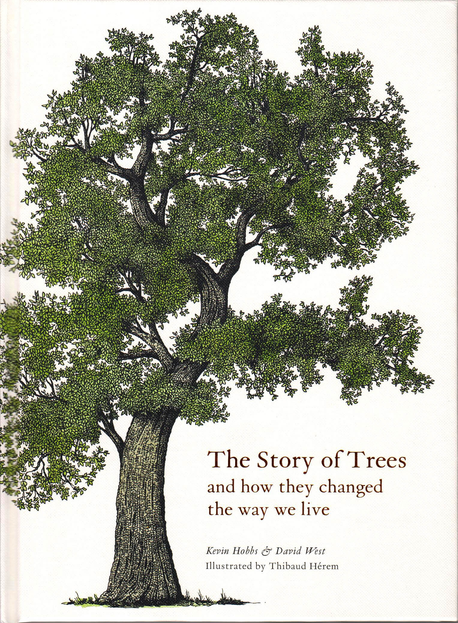 The Story of Trees - Nederlandse Dendrologische Vereniging